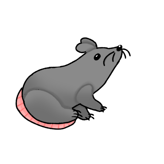 Silly little rat🐀 - ibisPaint