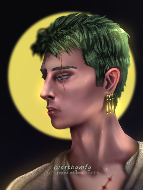 Zoro semi-realstic - ibisPaint