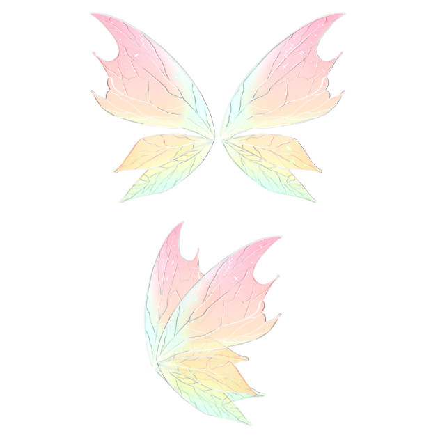 Fairy wings front and side view - ibisPaint