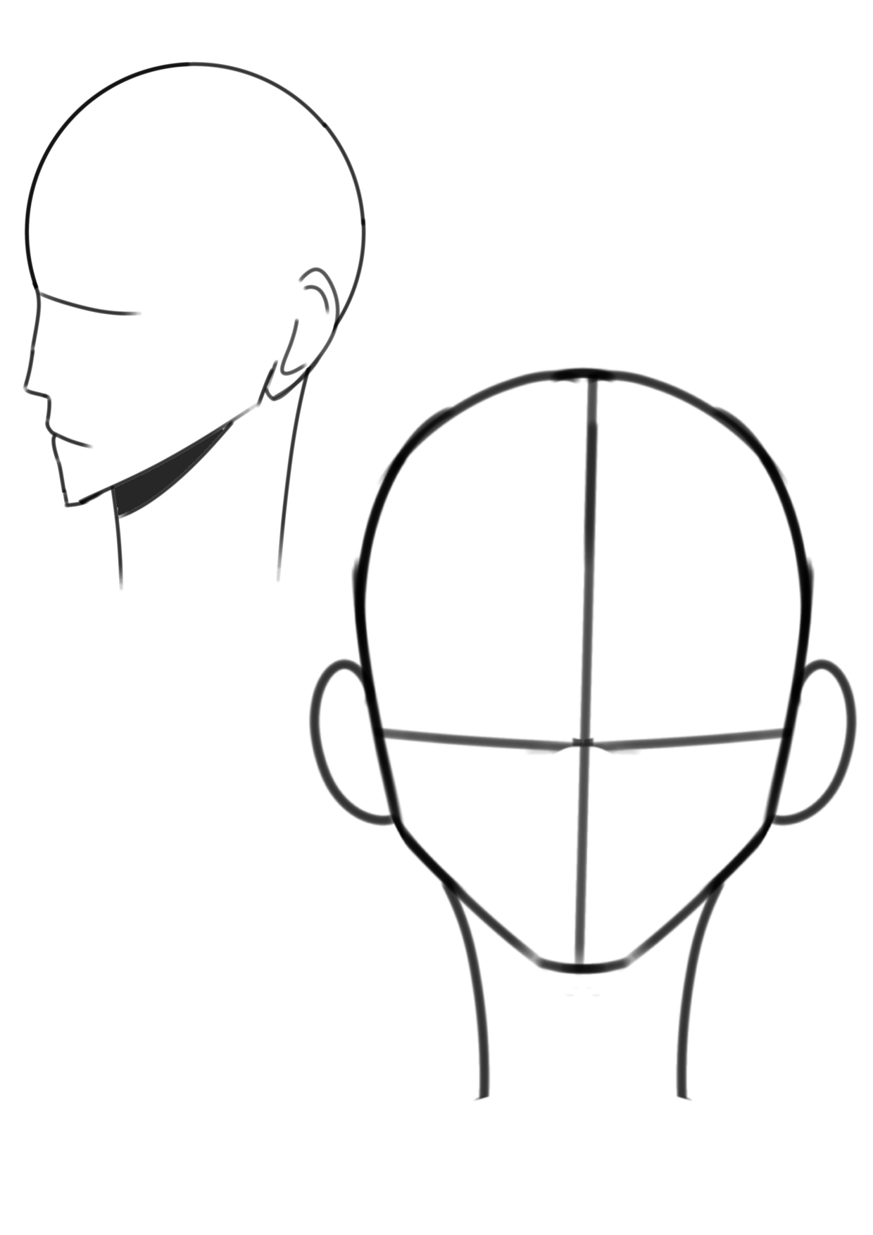 side view and front view - ibisPaint