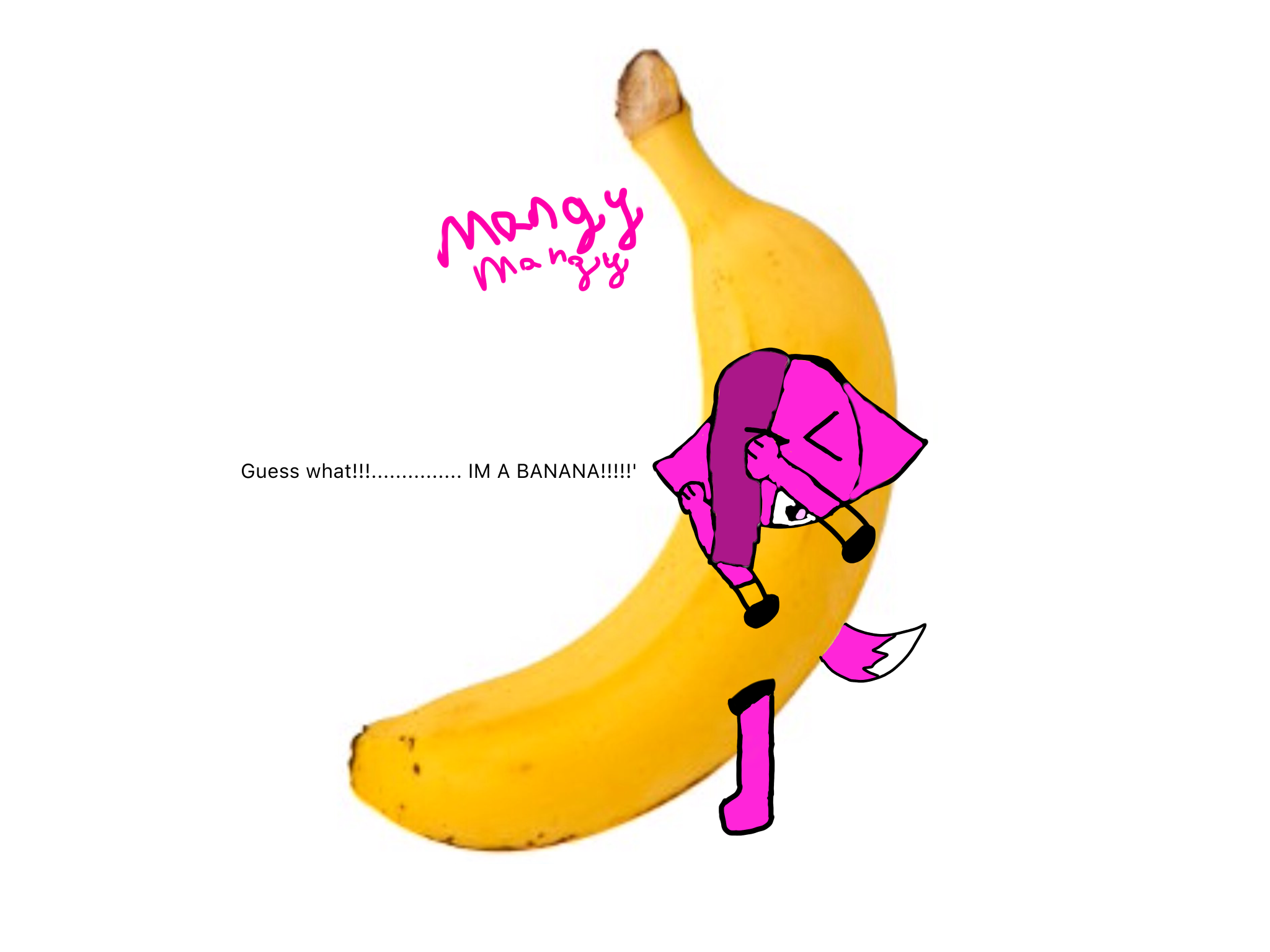 for Mangy mangys art contest - ibisPaint