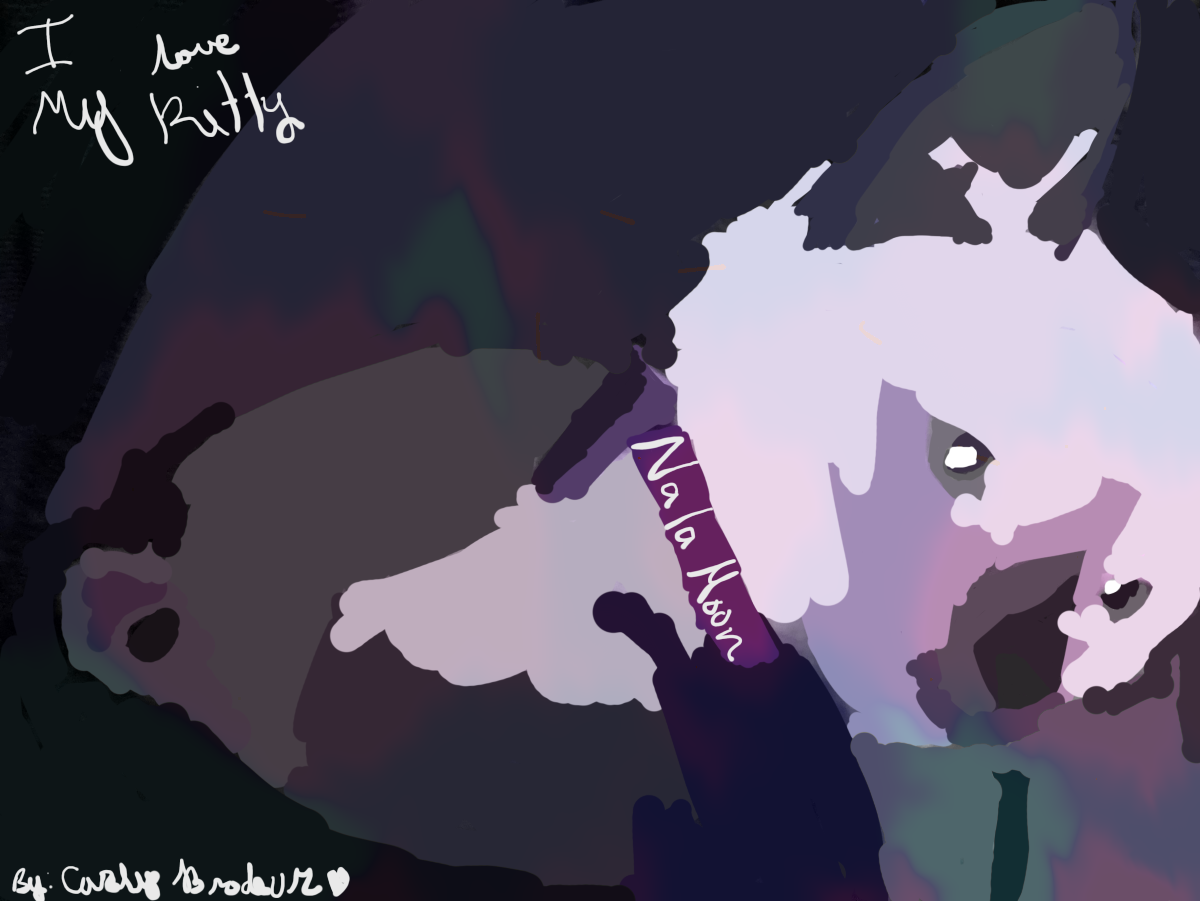 Nala Moon - ibisPaint