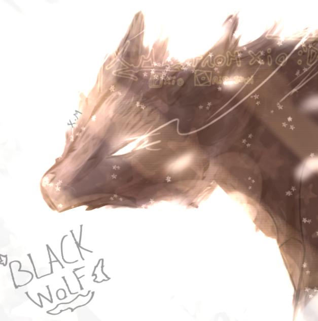 Black wolf🐺 - ibisPaint
