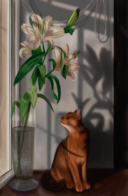 silly cat - ibisPaint