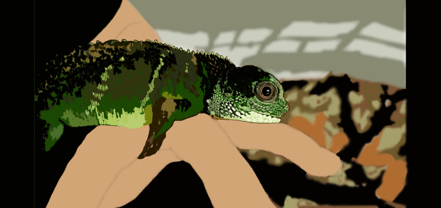 Daarthurnax Chinese water dragon - ibisPaint