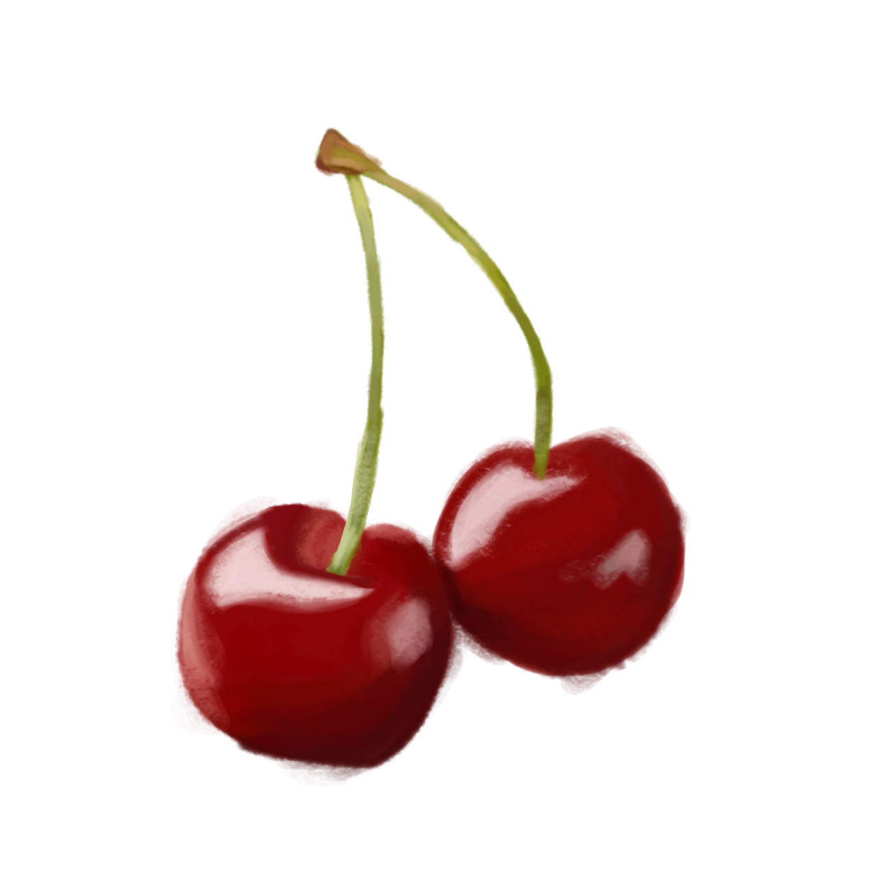 cherry - ibisPaint