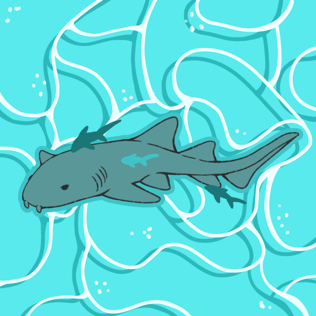 Shark 🦈 🩵 - ibisPaint