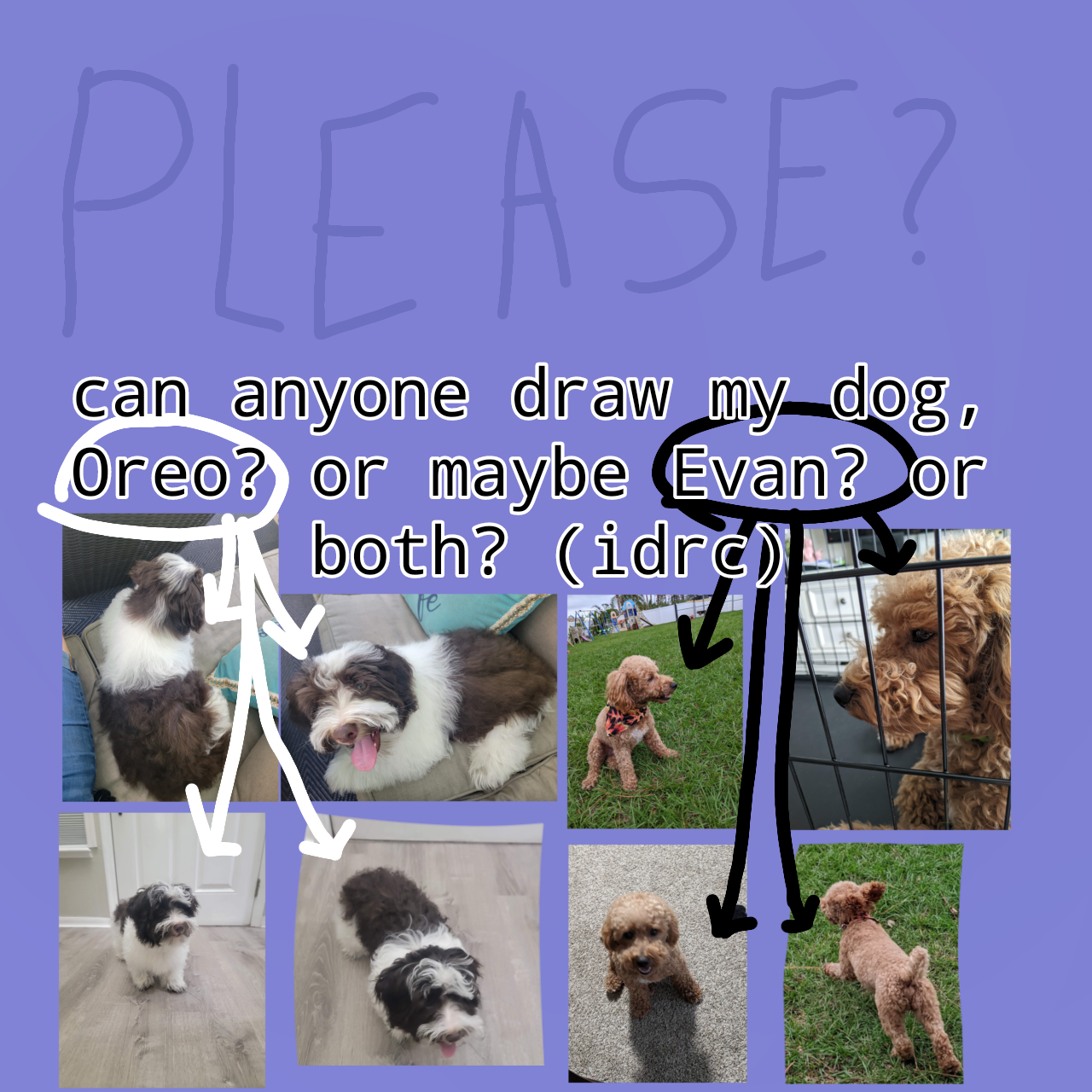 Evan is brown Oreo is black and white - ibisPaint