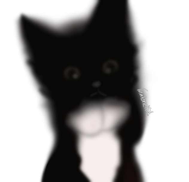 Kitty cat - ibisPaint