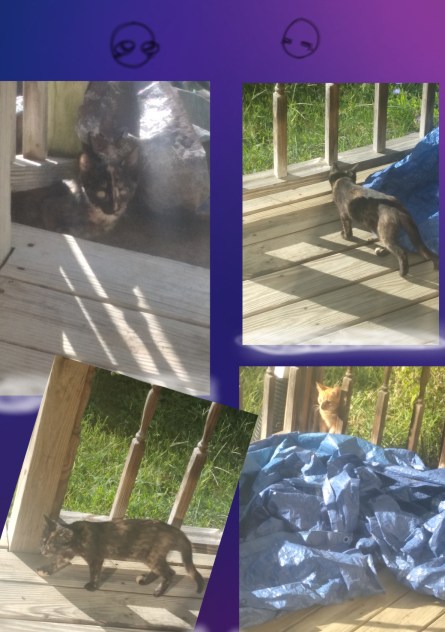 happy noise - ibisPaint