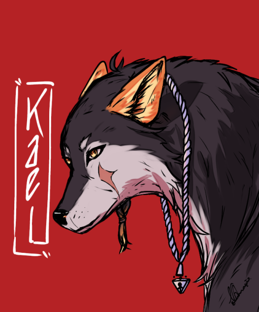Kael Wolf - ibisPaint