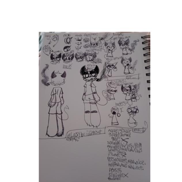 New persona ref sheet - ibisPaint