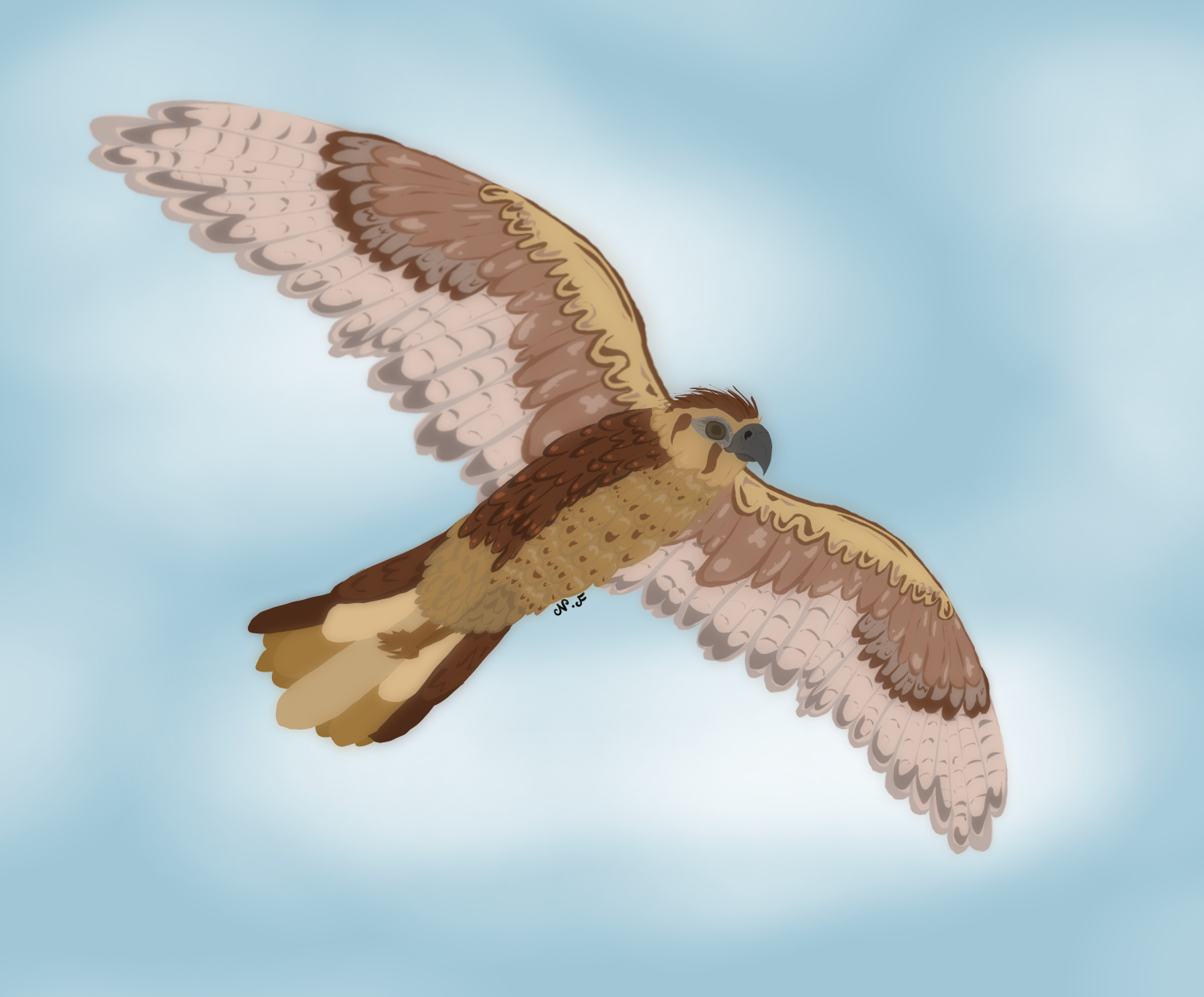 Falcon - ibisPaint