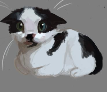 kittyx3 😺🐈loaf 🍞 - ibisPaint