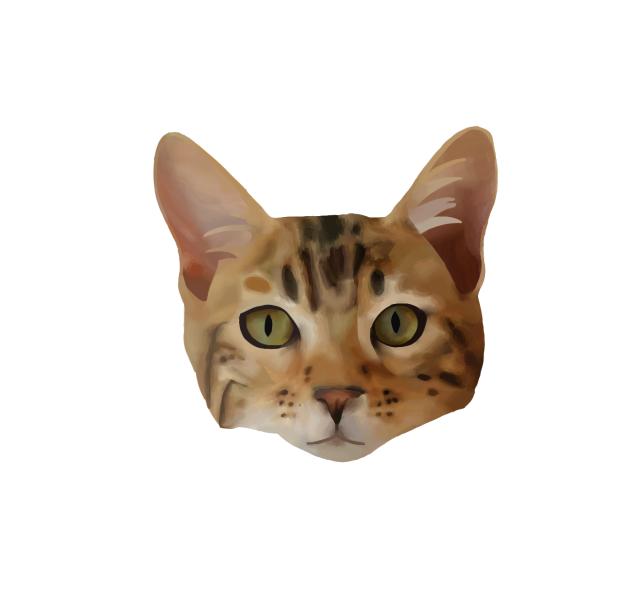 Kitty cat =3 - ibisPaint