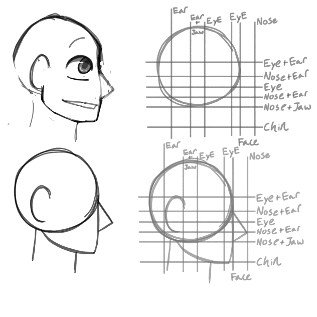 Side head chart - ibisPaint