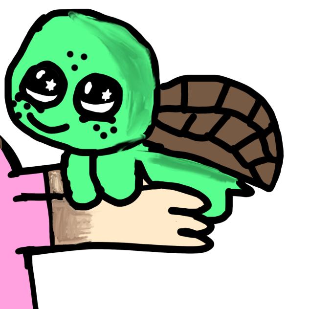 Turtle 🐢 - ibisPaint