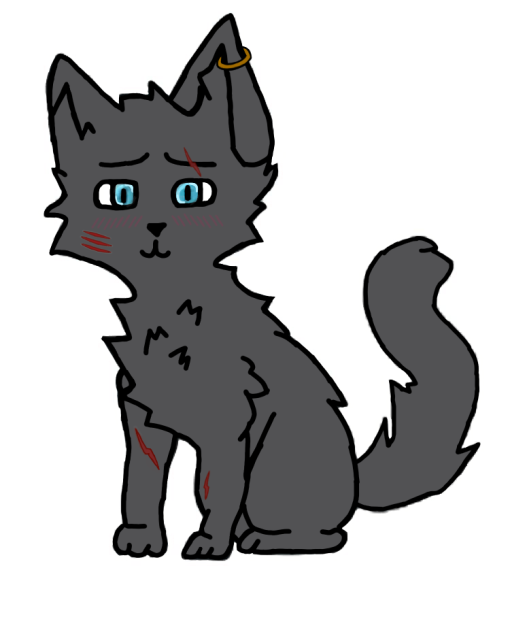 Cute cat - ibisPaint