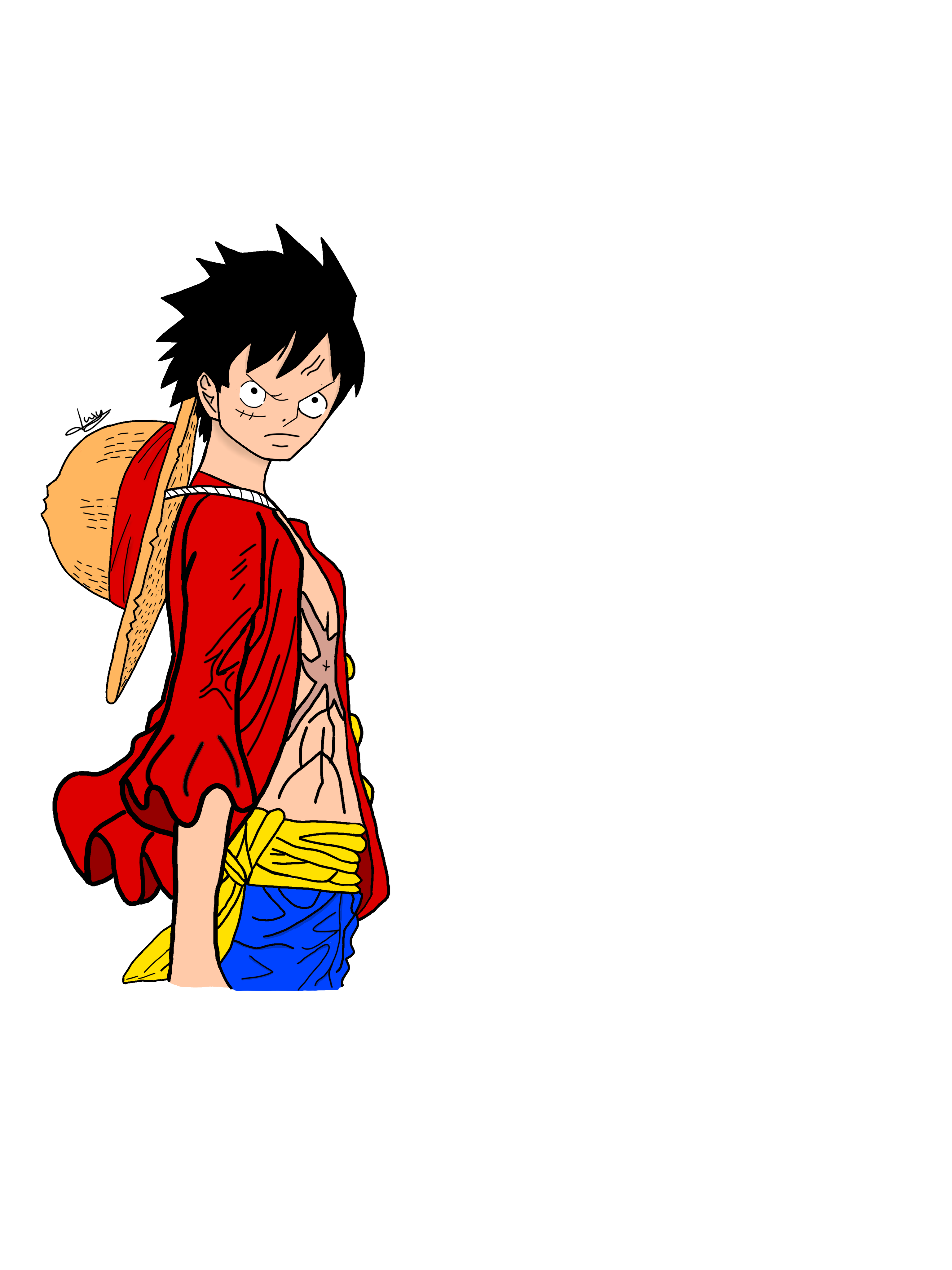 Luffy - ibisPaint