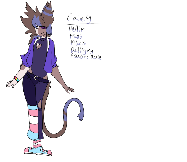 Sona ref sheet - ibisPaint