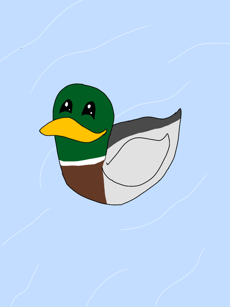 Duck swimming - ibisPaint