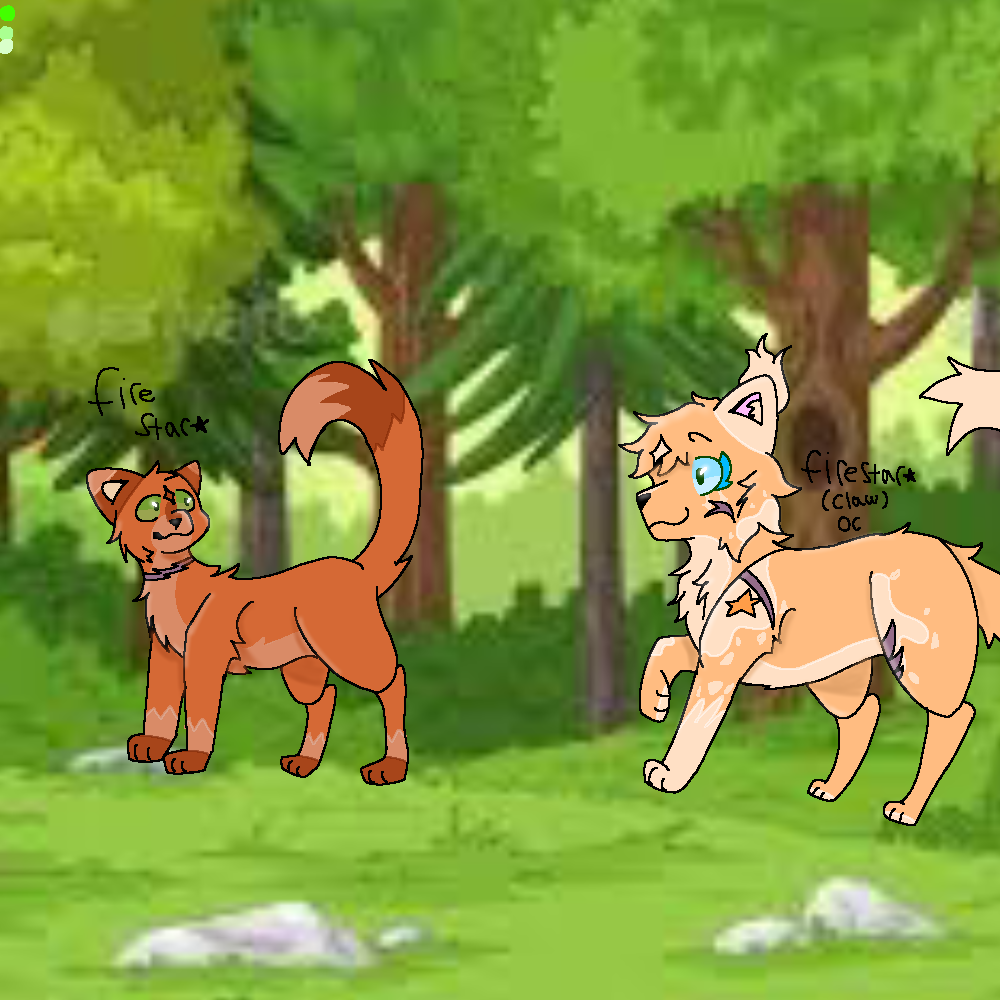 FireStar and my OC - ibisPaint