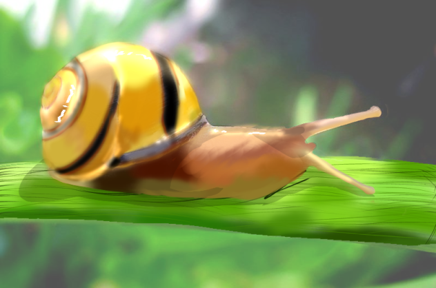 snail🐌🐌 - ibisPaint