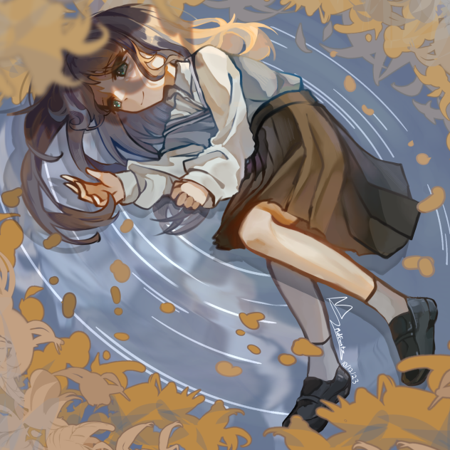 Reflection - ibisPaint