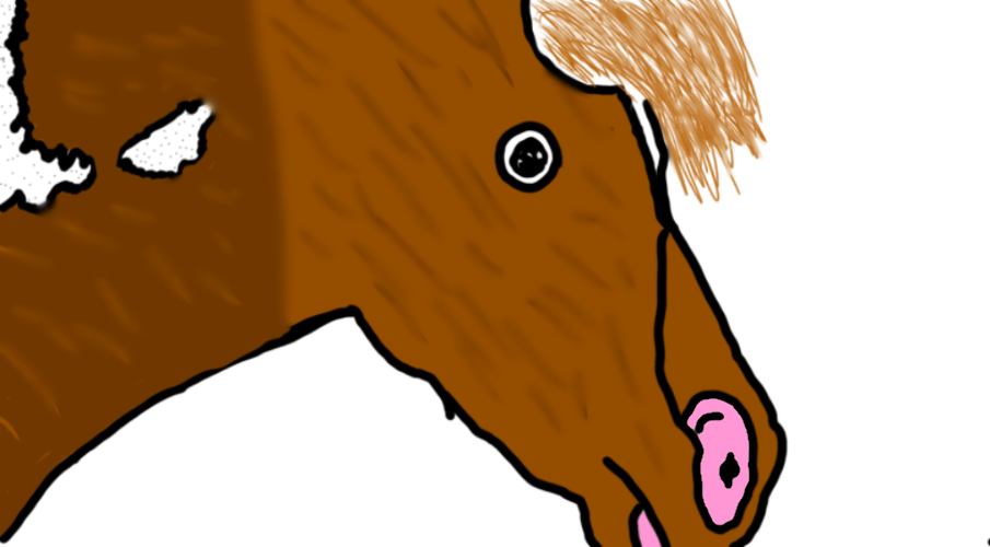 Horse - ibisPaint