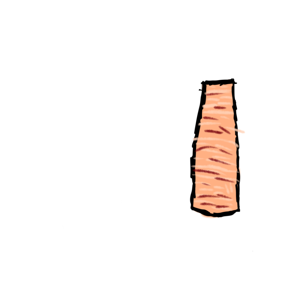 What my arms look like sorry - ibisPaint