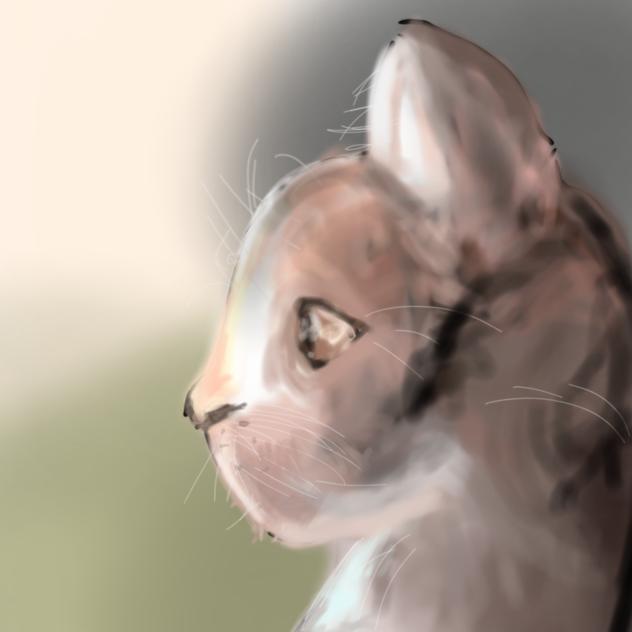 kitty - ibisPaint