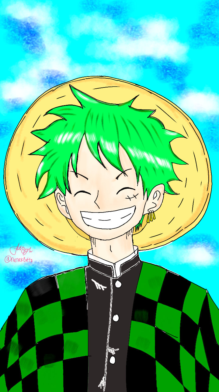 Luffy with jamet style - ibisPaint