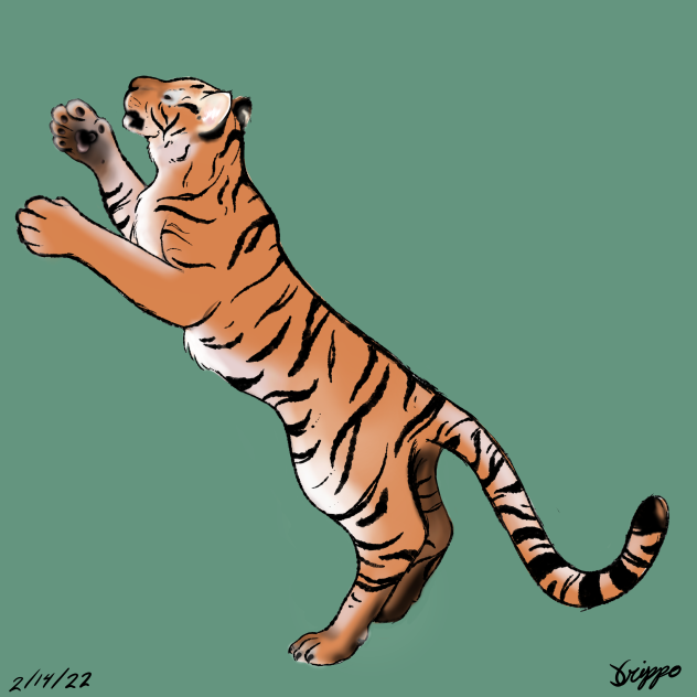 Tigers dance - ibisPaint