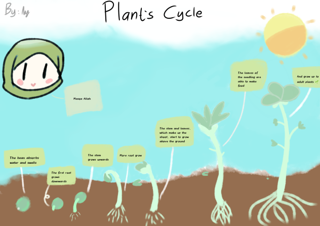 Picture of plant cycle 🌱 - ibisPaint
