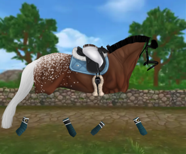 Kai on trail ride w new horse - ibisPaint