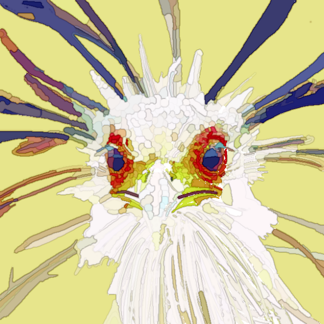 Beautiful Bird - ibisPaint