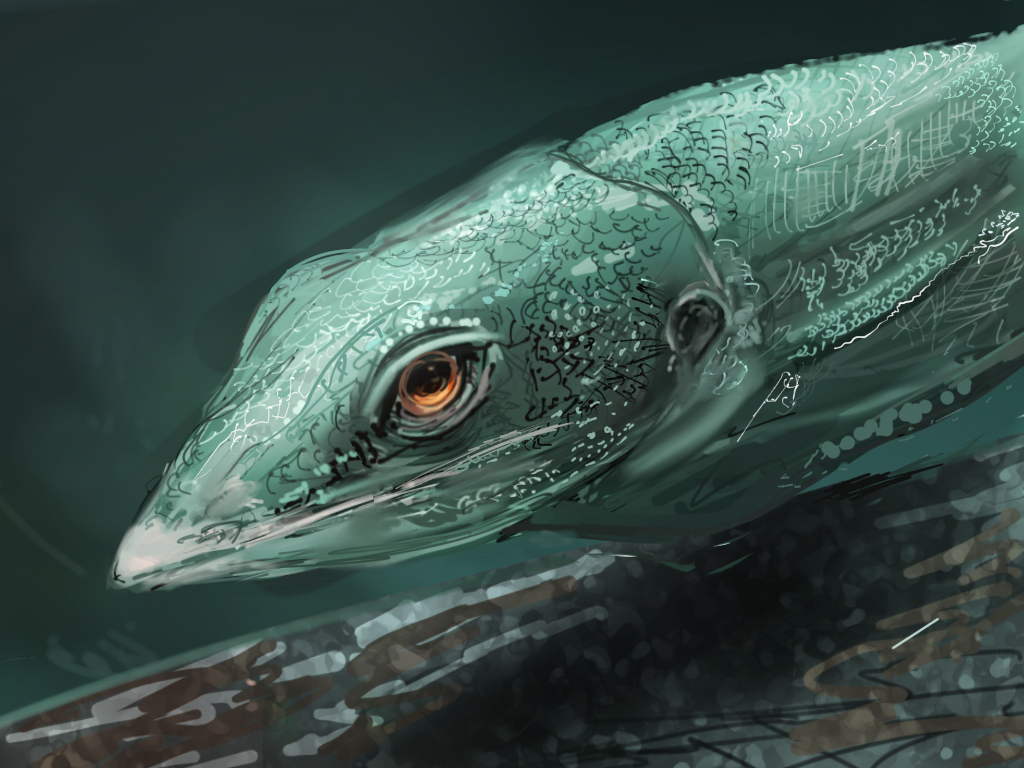 Lizard - ibisPaint