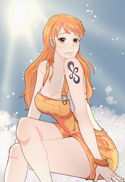ONE PIECE NAMI - ibisPaint