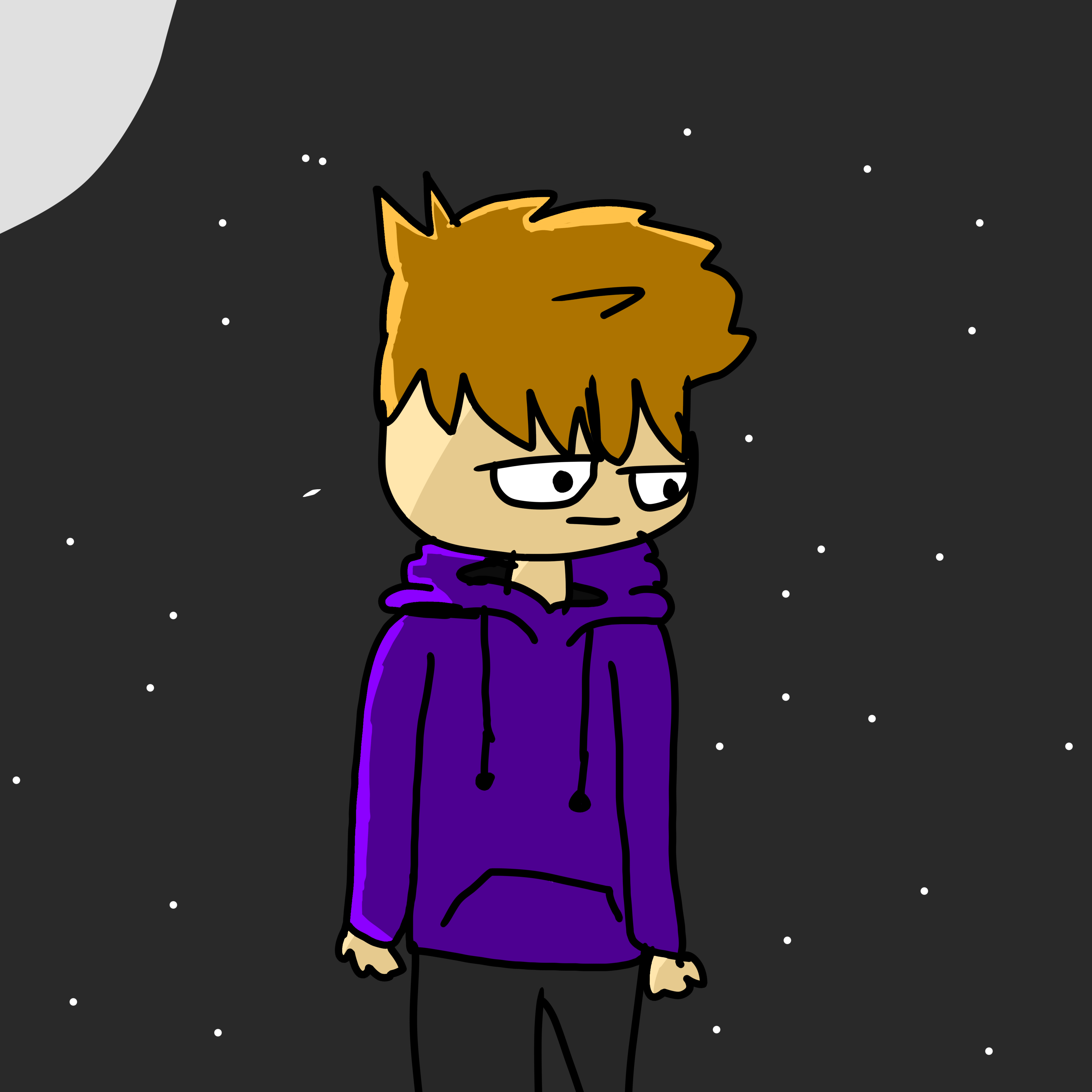 noche normal - ibisPaint