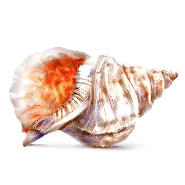 Conch Shell - ibisPaint