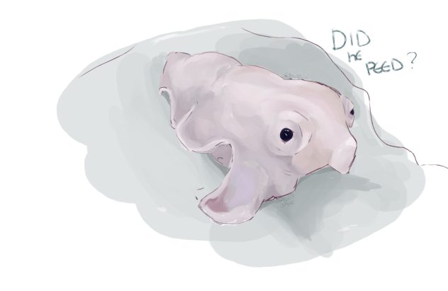 fetus cell - ibisPaint