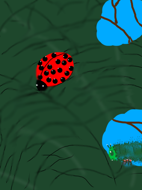 lady bug - ibisPaint