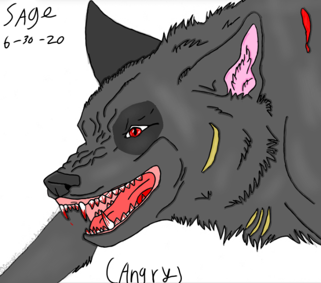 Angry Sage - ibisPaint