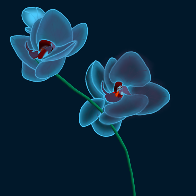 Night Orchid - ibisPaint