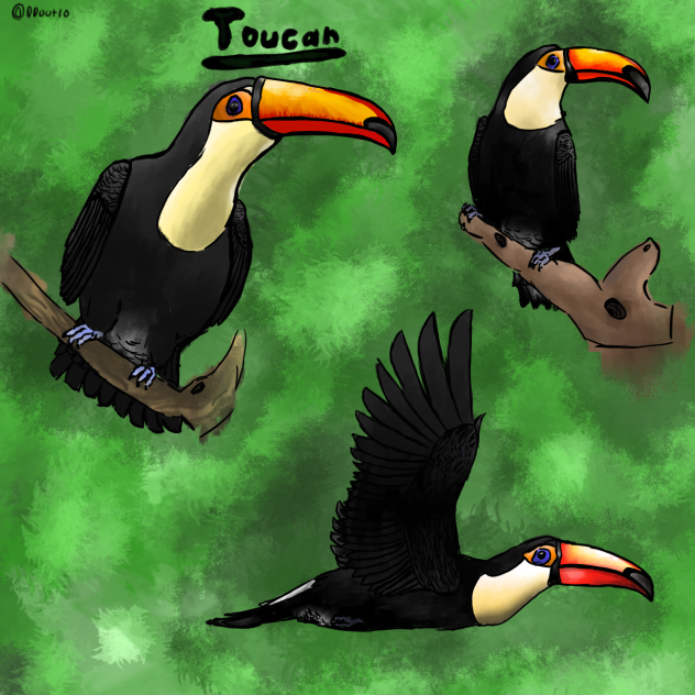 Toucans - ibisPaint