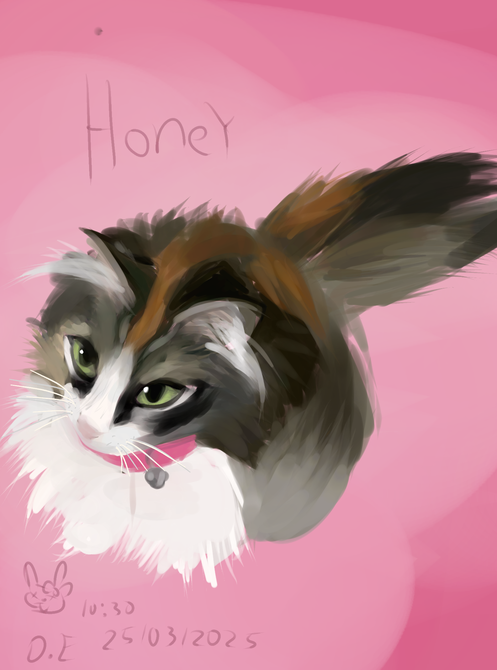 Honey bunny - ibisPaint