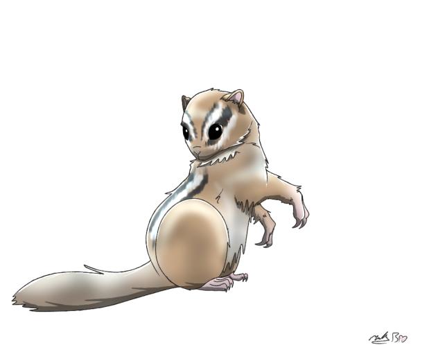 Chipmunk Practice - ibisPaint