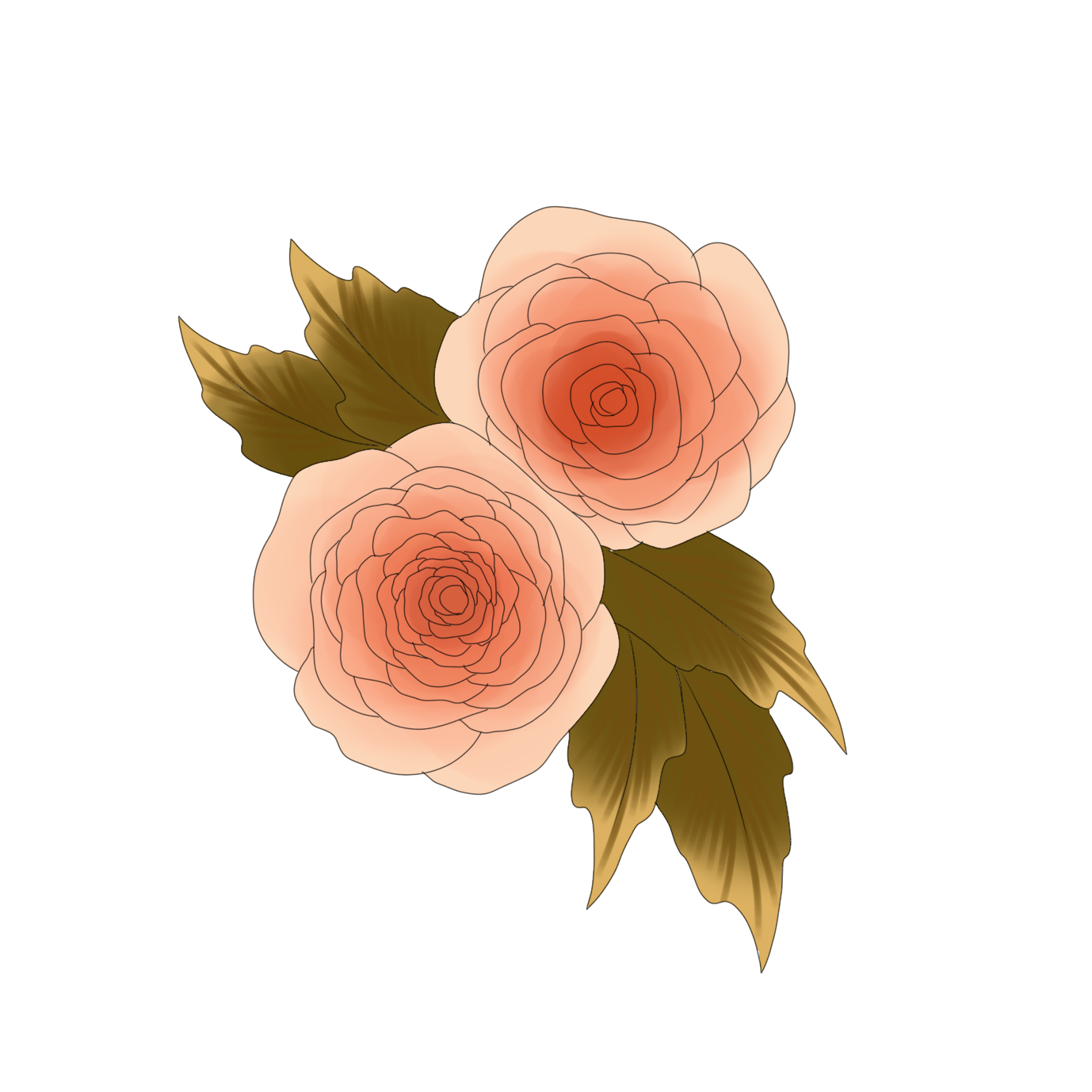 Roses🌹 - ibisPaint