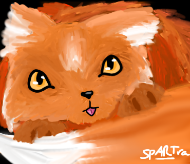Red Fox - ibisPaint
