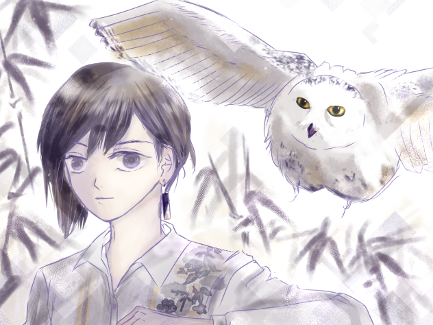 snowy owl - ibisPaint